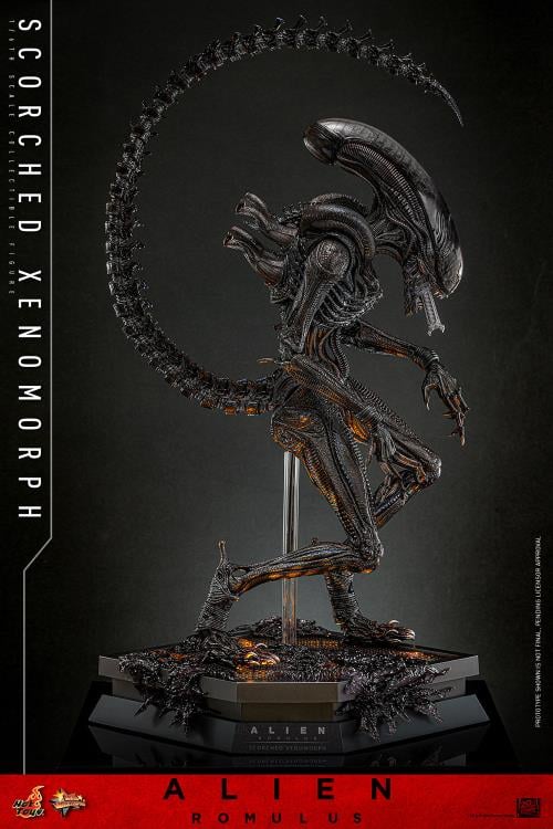 Hot Toys Alien Romulus Scorched Alien MMS784 – Kapow Toys